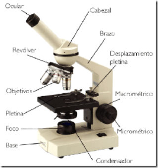 Microscopio Óptico - Ciencia Explicada